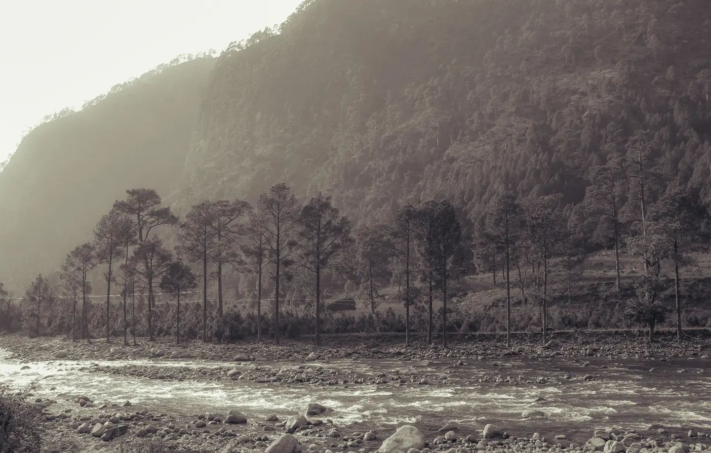 Haryana and Himachal Pradesh Accelerate Talks on Kishau Dam, Promising ...